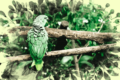15 Creative Things to Do with Photoshop (Examples)