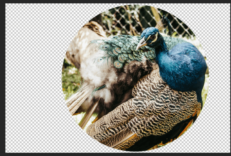 15 Creative Things to Do with Photoshop (Examples)