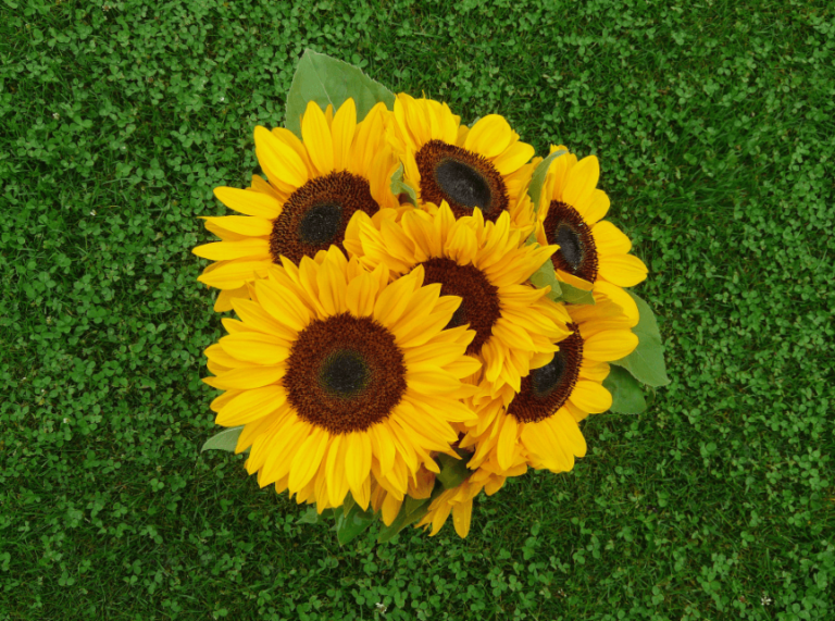 15 Creative Things to Do with Photoshop (Examples)