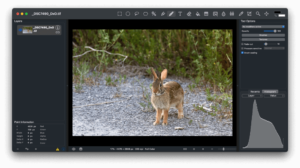 6 Best Free Photoshop Alternatives for Mac in 2024