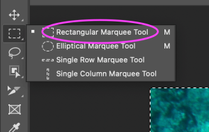 How to Animate Pictures in Photoshop (15 Steps)