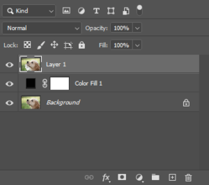 How to Use the Background Eraser Tool in Photoshop