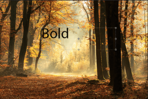 How to Bold Text in Photoshop (The Easiest Way)