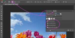 How to Use Brush Tool in Photoshop (Detailed Guide)