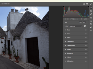What is Camera Raw in Photoshop (Why & How to Use It)