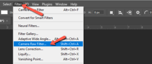 What is Camera Raw in Photoshop (Why & How to Use It)