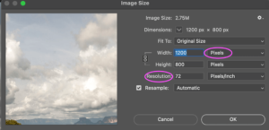 How to Change PPI (Image Resolution) in Photoshop
