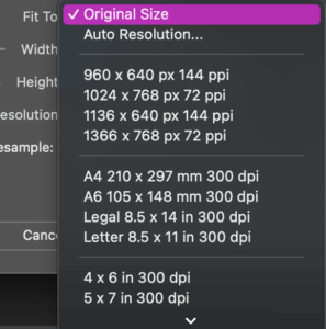 How to Change PPI (Image Resolution) in Photoshop