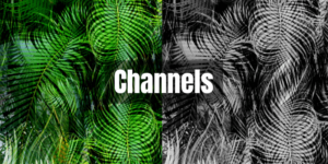 What Are Channels in Photoshop? (Fully Explained)