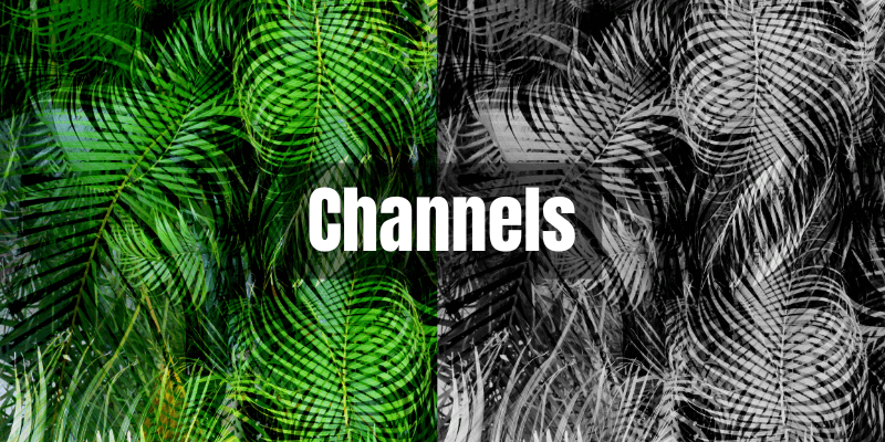 What Are Channels in Photoshop? (Fully Explained)