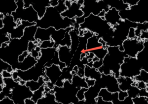 How to Create a Realistic Lightning Effect in Photoshop