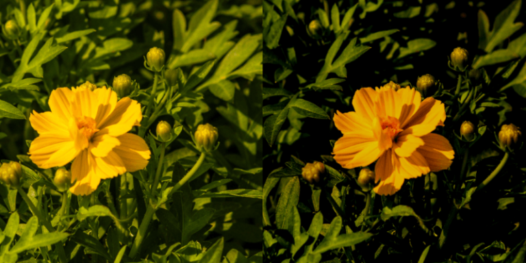 3 Easy Ways to Darken an Image in Photoshop