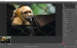 3 Easy Ways to Darken an Image in Photoshop