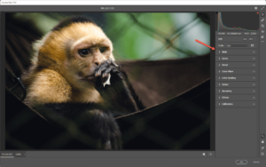 3 Easy Ways to Darken an Image in Photoshop