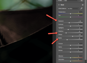 3 Easy Ways to Darken an Image in Photoshop