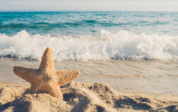 How to Fill Text With an Image in Photoshop (4 Steps)