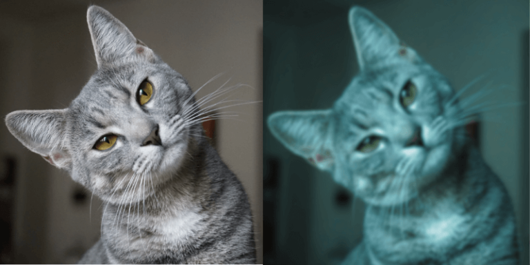 What Are Filters in Photoshop? (And How to Use Them)
