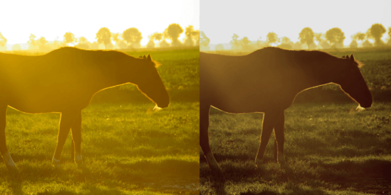 How to Quickly Fix Overexposed Photos in Photoshop