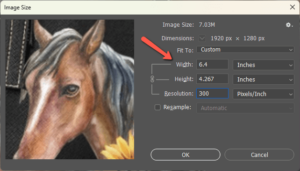 How to Increase Image Resolution in Photoshop (Guide)