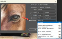 How to Increase Image Resolution in Photoshop (Guide)