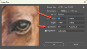 How to Increase Image Resolution in Photoshop (Guide)