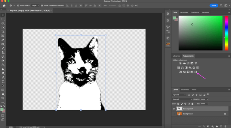 How to Make Pop Art in Photoshop (Detailed Steps)