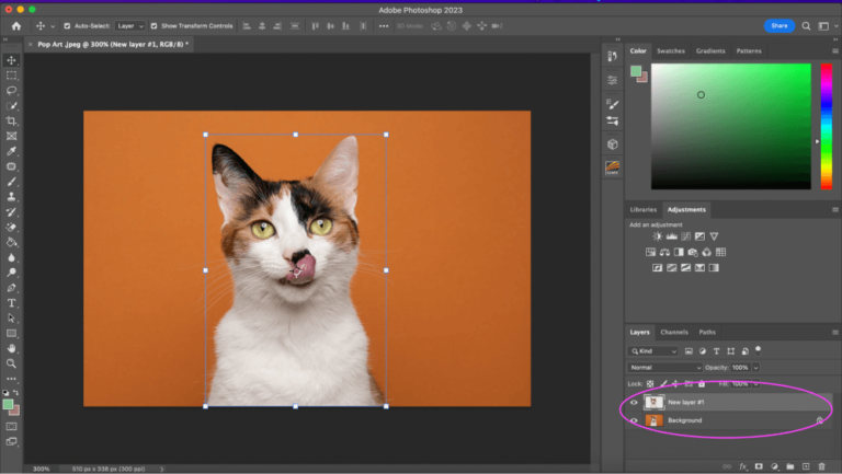 How to Make Pop Art in Photoshop (Detailed Steps)