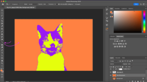 How to Make Pop Art in Photoshop (Detailed Steps)