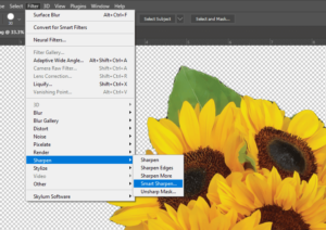 How to Make Custom Stickers in Photoshop (8 Steps)