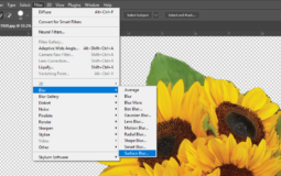 How to Make Custom Stickers in Photoshop (8 Steps)