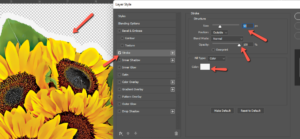 How to Make Custom Stickers in Photoshop (8 Steps)