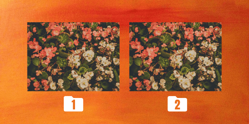 3 Ways to Move Image from a File to Another in Photoshop