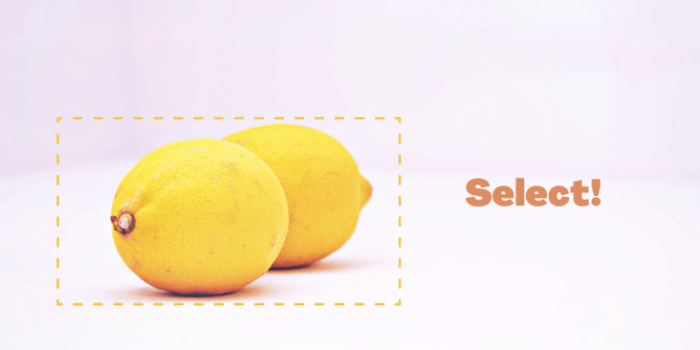 How to Use the Object Selection Tool in Photoshop