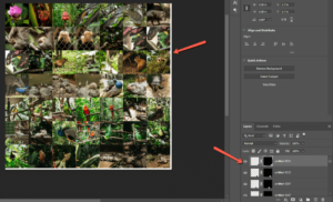 How to Make a Photo Mosaic in Photoshop (6 Steps)