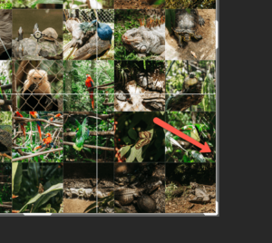 How to Make a Photo Mosaic in Photoshop (6 Steps)
