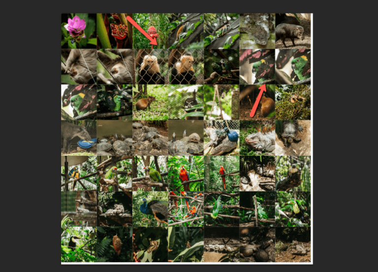 How to Make a Photo Mosaic in Photoshop (6 Steps)