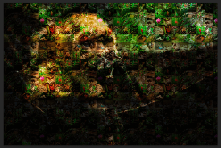 How to Make a Photo Mosaic in Photoshop (6 Steps)