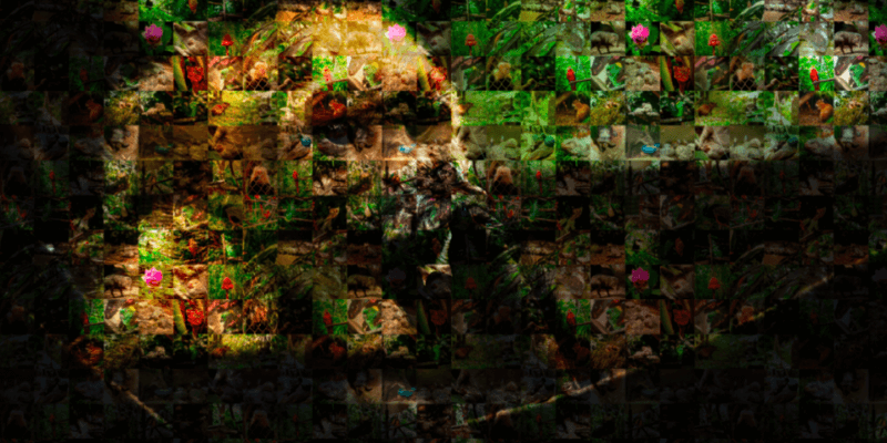 How to Make a Photo Mosaic in Photoshop (6 Steps)
