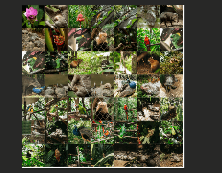 How to Make a Photo Mosaic in Photoshop (6 Steps)