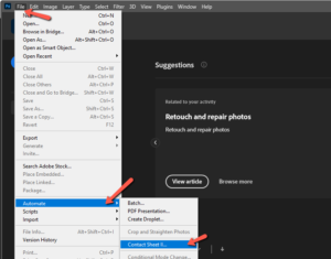 How to Make a Photo Mosaic in Photoshop (6 Steps)