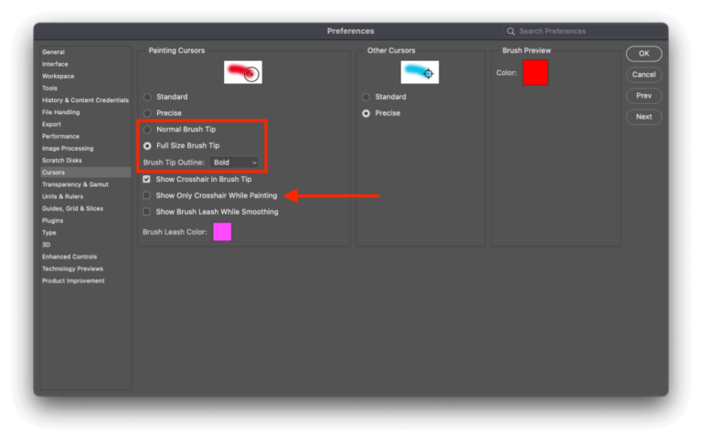Photoshop Not Showing Brush Size (6 Fixes That Work)