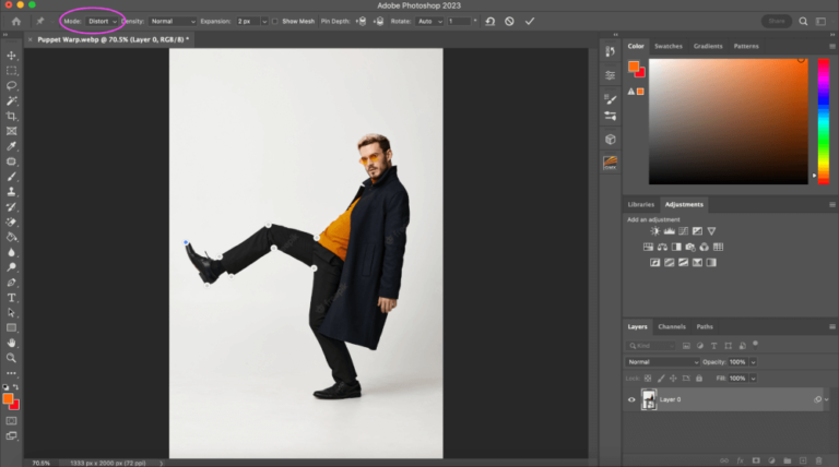 How to Use the Puppet Warp Tool in Photoshop