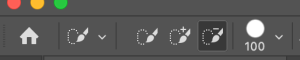 How to Use the Quick Selection Tool in Photoshop