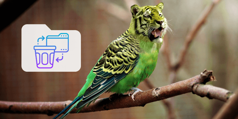 Recover Unsaved/Deleted Photoshop Files (4 Solutions)
