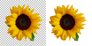 How to Remove the Checkered Background in Photoshop