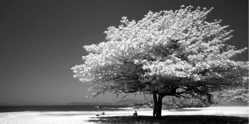 5 Essential Steps to Shade in Photoshop (Tutorial)