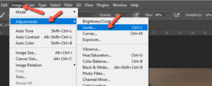 How to Use Levels in Photoshop (Features Explained)