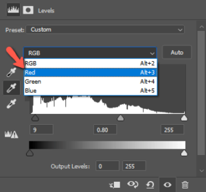 How to Use Levels in Photoshop (Features Explained)