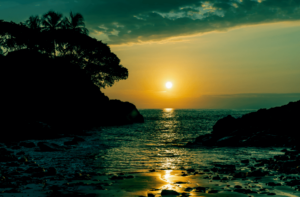 How to Use Levels in Photoshop (Features Explained)