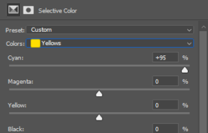 How to Use Selective Color in Photoshop (Steps + Tips)